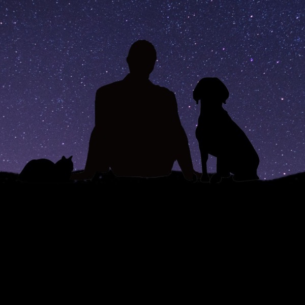 Patch TK – Jazzhop lofi for a warm and breezy night [Review] – HipHop ...